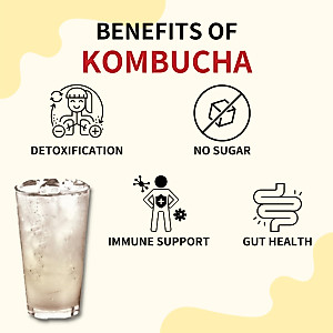 Garden Kombucha Tea, 4 Flavor/20 Sachets (100g/3.52oz) Probiotics, Prebiotics, Sugar Free, Diet Tea, Healthy Drink Variety Pack