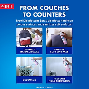 Lysol Disinfectant Spray, Sanitizing and Antibacterial Spray, For Disinfecting and Deodorizing, Early Morning Breeze, 19 Fl Oz, (Packaging May Vary)