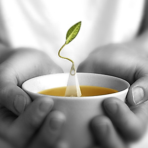 Tea Forte Earl Grey Black Tea Event Box, Bulk Pack of 48 Pyramid Infuser Tea Sachets for All Occasions