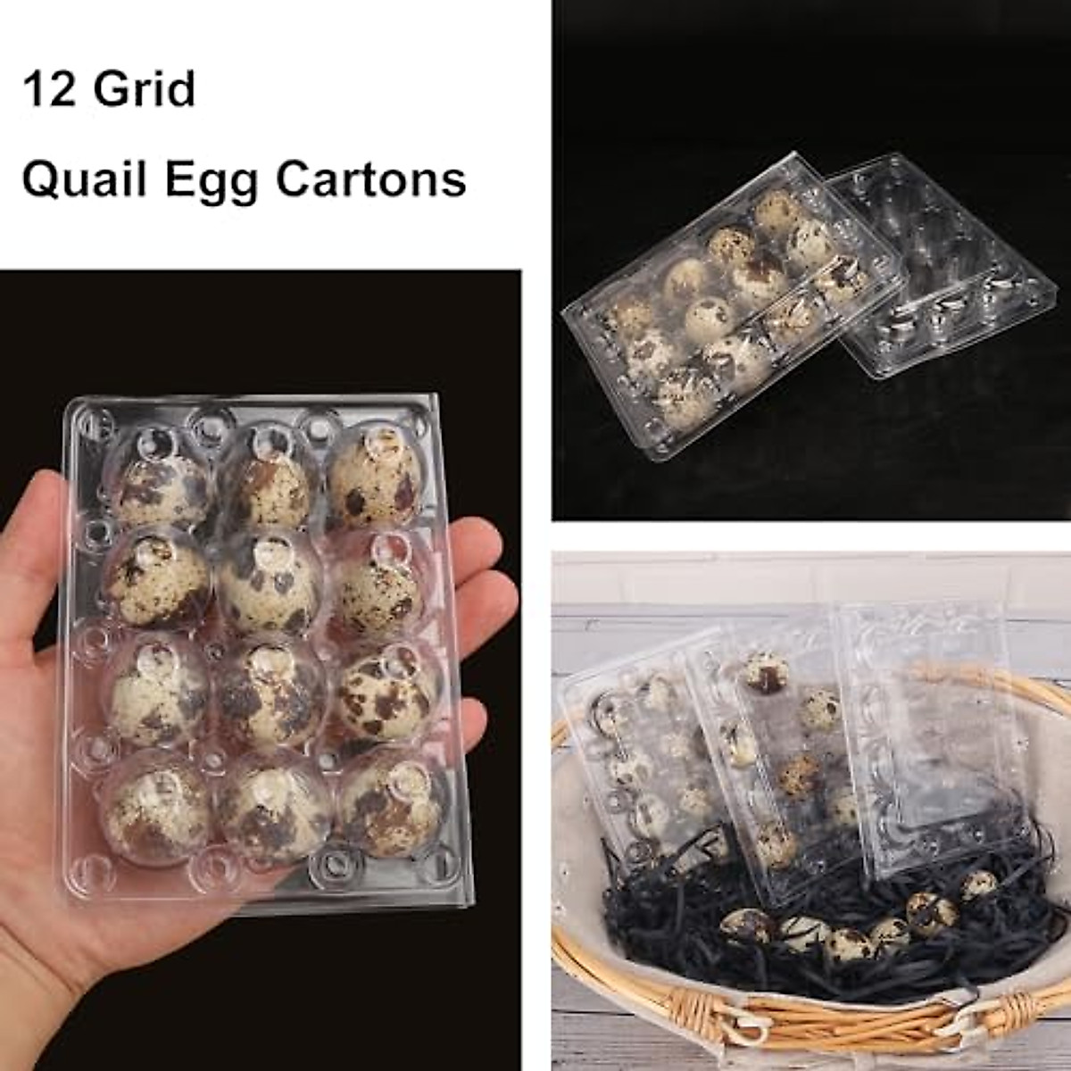 210 Pack Quail Egg Cartons, Clear Plastic Quail Egg Trays, Holds up to 12 Quail Eggs Securely - Your Ultimate Small Eggs Carton Holders for Bulk Storage and Display by KUKLIPJIM