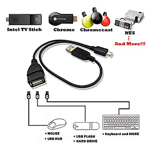 AuviPal 2-in-1 Micro USB to USB OTG Adapter (OTG Cable + TV's USB Power Cable) for Fire Stick, Playstation Classic and More - 2 Pack