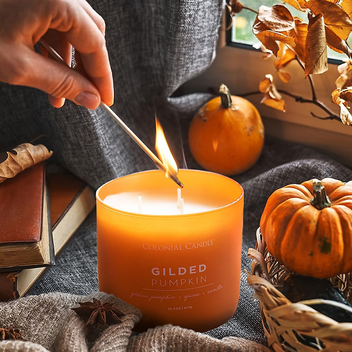 Colonial Candle Gilded Pumpkin Scented Jar Candle, Pop of Color Collection, 3 Wick, Orange, 14.5 oz - Up to 60 Hours Burn