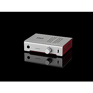 Schiit Magni Heretic Affordable No-Excuses Op-Amp Headphone Amp & Preamp (Silver)