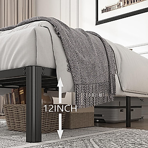 Riwanca 14 Inch Full Size Bed Frame No Box Spring Needed, Heavy Duty Black Metal Platform Mattress Foundation with Rounded Corners, Non-Slip Noise Free Easy Assembly