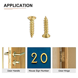 DTGN M2x10mm(DXL) Brass Phillips Wood Screws - 100Pack - Good for Wood Crafts, Furniture - Countersunk Head Self-Tapping Screw - Brass Tone