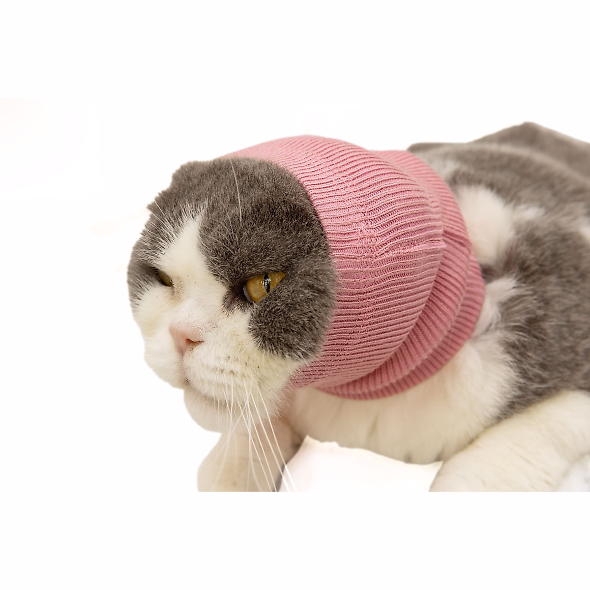 DDFS No Flap Ear Wrap Cat Small (6 Pack), Dedication No Flap Ear Wraps Cat No Flap Ear Wrap Pinpoint Mesh Wine Red S