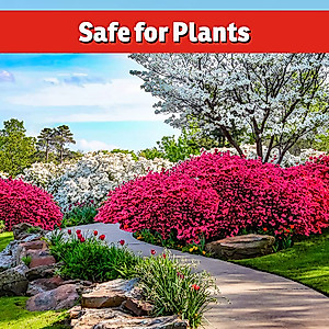 I Must Garden Dusting Wettable Sulfur Powder: Organic & Natural - 4lb Jar