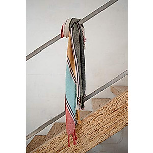 Creative Co-Op DF2410 60" L x 50" W Recycled Cotton Blend Striped Braided Fringe Throw, Multicolor