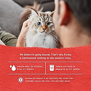 Purina Beyond Chicken, Beef and Carrot and Turkey, Sweet Potato and Spinach in Wet Cat Food Gravy 12 Ct Variety Pack - (2 Packs of 12) 3 oz. Cans