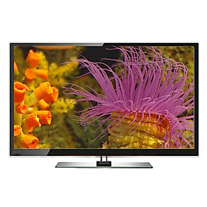 Underwater DVD - Ocean Dreaming - Relaxing Scenes of Corals and Tropical Fishes