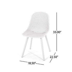Christopher Knight Home Darleen Outdoor Dining Chair (Set of 2), White