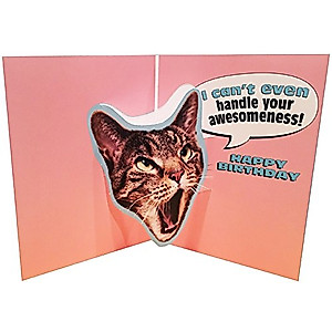 OMG Cat Pop Up Avanti Stand Out Funny Birthday Card