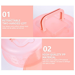 Luxshiny Cake Box Travel Foldable Pp