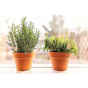 Boldernest Bamboo Herb Garden Markers - Set of 12 Beautiful Herb Garden Labels - Sturdy Herb Markers for Outdoor Garden or Potted Herbs - Lovely Herb Garden Signs