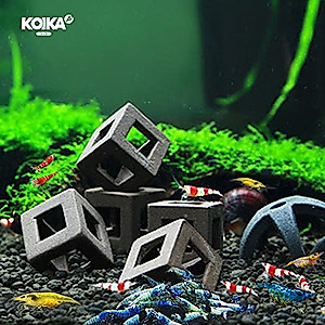 V-Active Plus Specialized Probiotics for Ornamental Shrimp by KOIKA | Environmental Improvement & Boost Immune System, Increase Fertility for Ornamental Shrimp(V-Active Plus, 3.55 fl oz/ 105ml)