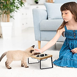 Elevated Cat Bowls for Food and Water - Loplurea 15° Tilted Raised Stainless Steel Cat Food Bowl with Bamboo Stand and Anti Vomit Feeding Station for Indoor Cats and Pet