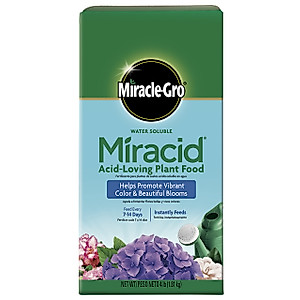 Miracle-Gro Water Soluble Miracid Acid-Loving Plant Food
