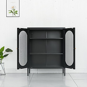 Fumedo 2 Mesh Door Metal Storage Cabinet for Bed Room,Living Room,Home,Hotel,Office,Garage,Kitchen,3-Tier,2 Removable Shelves (Mesh Door Cabinet, Black)