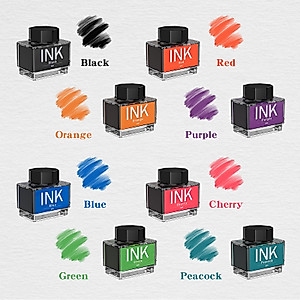 AIVN Complete Calligraphy Set for Beginners, Includes Calligraphy Pens, 12 Nibs, Quill Pen and Ink Set, Caligraphy Kits, Pen Holder and Introduction Booklet for Elegant Writing