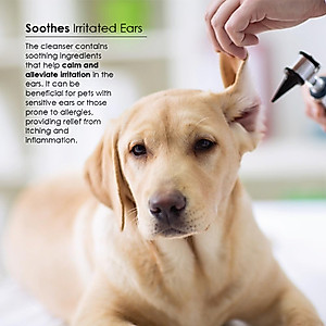 Otiderm Ear Cleansing Solution with Aloe Vera for Dogs & Cats, Anti-Irritant Formula with Neutral pH and Aloe Vera, Deodorize & Gently Clean - 8 fl oz