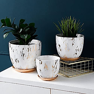 ARTIBETTER 1pc White Fairy Gardening Plant Orchid Succulent Plants Bonsai Planter Holder Cactus Modern Retro Pot: Supply Office Saucers Pots Marbling Vase Flowerpot Ceramic for Pot