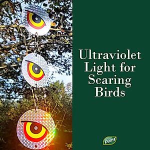 Dalen Guard'n Eyes Full Spectrum Reflective Hanging Disks - Reflects Ultraviolet Light for Scaring Birds - 4 Pack