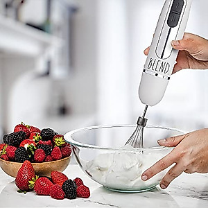 Rae Dunn Immersion Hand Blender- Handheld Immersion Blender with Egg Whisk and Milk Frother Attachments, 2 Speed Blender, 500 Watts, Stainless Steel Blade (Sand)