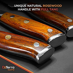 DaTerra Cucina Chef Knife - 8 Inch | Eisenrose - Sharp German Steel - Professional Kitchen Knives