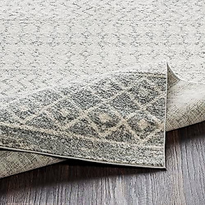 Artistic Weavers Chester Area Rugs, Grey