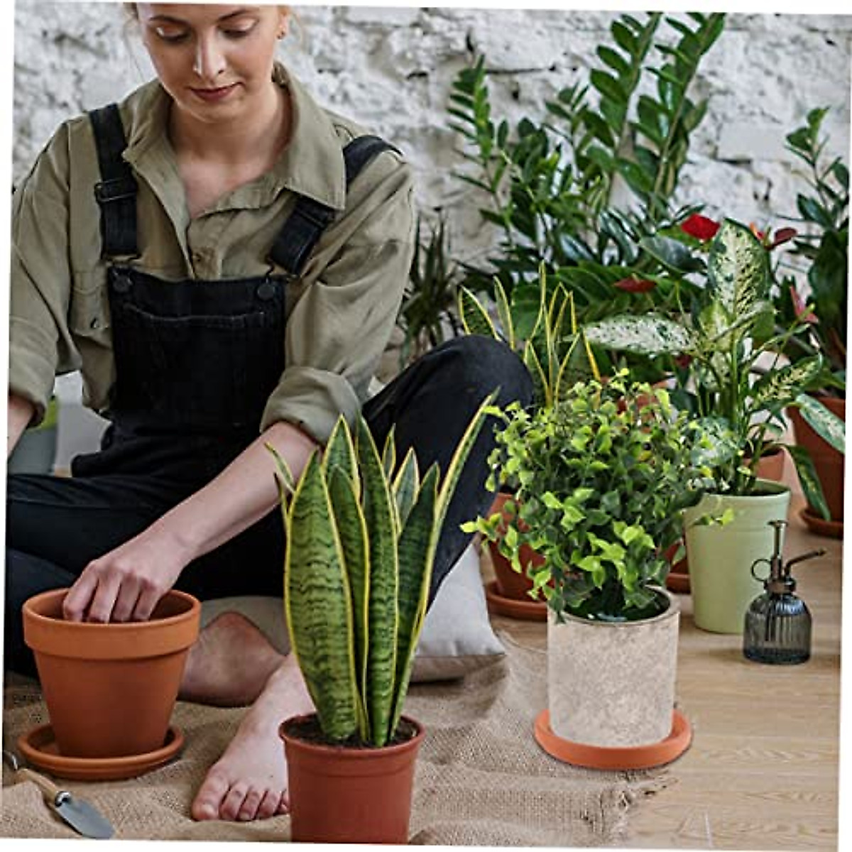 MARMERDO 5pcs Terracotta Planter Tray Potted Plants Bonsai Tray Serving Tray Round Classic Round Planter Saucer Plant Saucers for Indoors Plant Coasters Ceramic Terracotta Flower Pot Plate