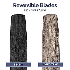 Prominence Home Journal, 52 Inch Contemporary Indoor Outdoor Ceiling Fan with No Light, Pull Chain, Dual Mounting Options, Dual Finish Blades, Reversible Motor - 51466-01 (Matte Black)