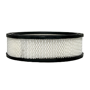 ACDelco GM Original Equipment A773C Air Filter