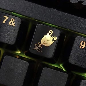 OEM Profile R4 ESC Keycap Rose Backlit Translucent Key Cap for Cherry MX RGB Switch Mechanical Keyboards Gaming DIY Replacement