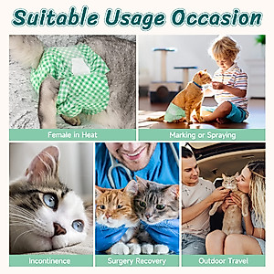 Pet Soft Disposable Cat Diapers - Female Dog Diapers for Cats & Dogs in Heat Period or Urine Incontinence, Doggie Diapers Ultra Absorbent Leak-Proof Puppy Diapers 24pcs (Green, XS)