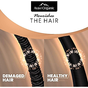 Aspiiro Natural Organic Red Onion Shampoo For Hair Fall Rescue & Hair Growth 6.7 Ounce | SLS & Paraben Free - 6.7 FL Oz / 200ml