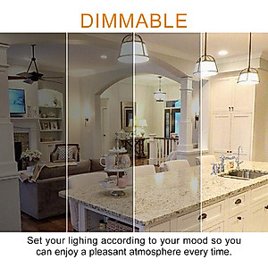 Small frog LED Bulb R30 or BR30,12W(100W Equivalent),1200 Lumens,Upgrade for 100W Bulb,3000K Soft White Color,for Recessed Can Use,Wide Flood Light,Dimmable,(Pack of 4)