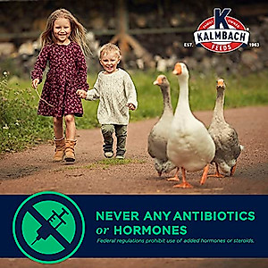 Kalmbach Feeds All Natural Non-GMO Flock Maintainer Pellets for Mixed Flocks of Poultry