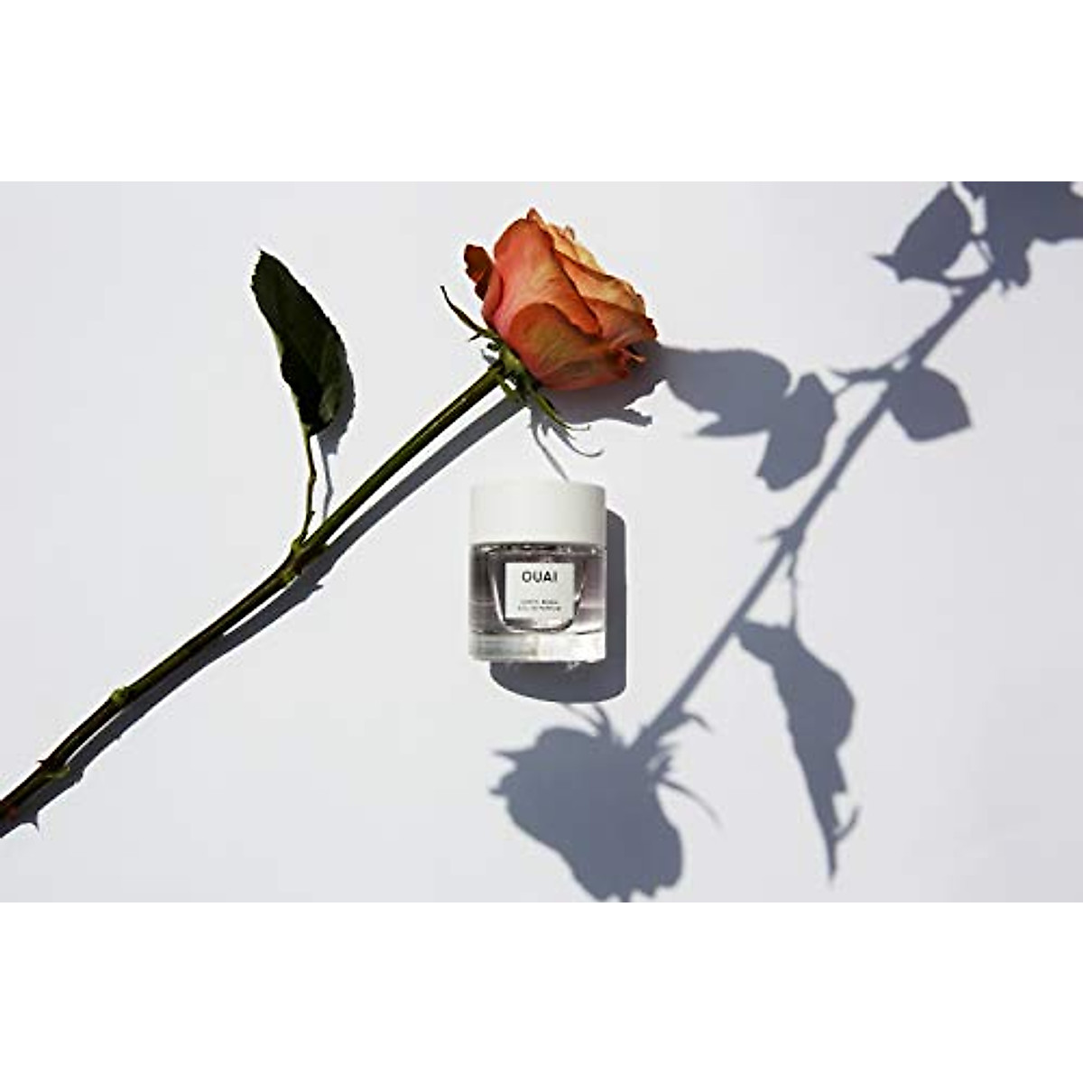 OUAI North Bondi Eau de Parfum. An Elegant Perfume Perfect for Everyday Wear. The Fresh Floral Scent has Notes of Lemon, Jasmine and Bergamot, and Delicate Hints of Viotel and White Musk (1.7 oz)…