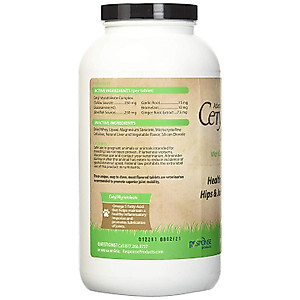 Cetyl M Advanced Dog Joint Action Tablets 360 Count, Pack of 2