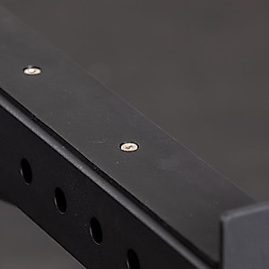 Titan Fitness X-3 Series Spotter Arms, 1,000 LB Black Safety Catches, Fits 3-in x 3-in 11-GA Steel Tubes