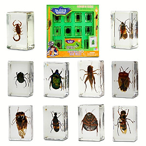 Dr. Steve Hunters - Bugs World Collection - 10 REAL insects - Scientific Educational Toy