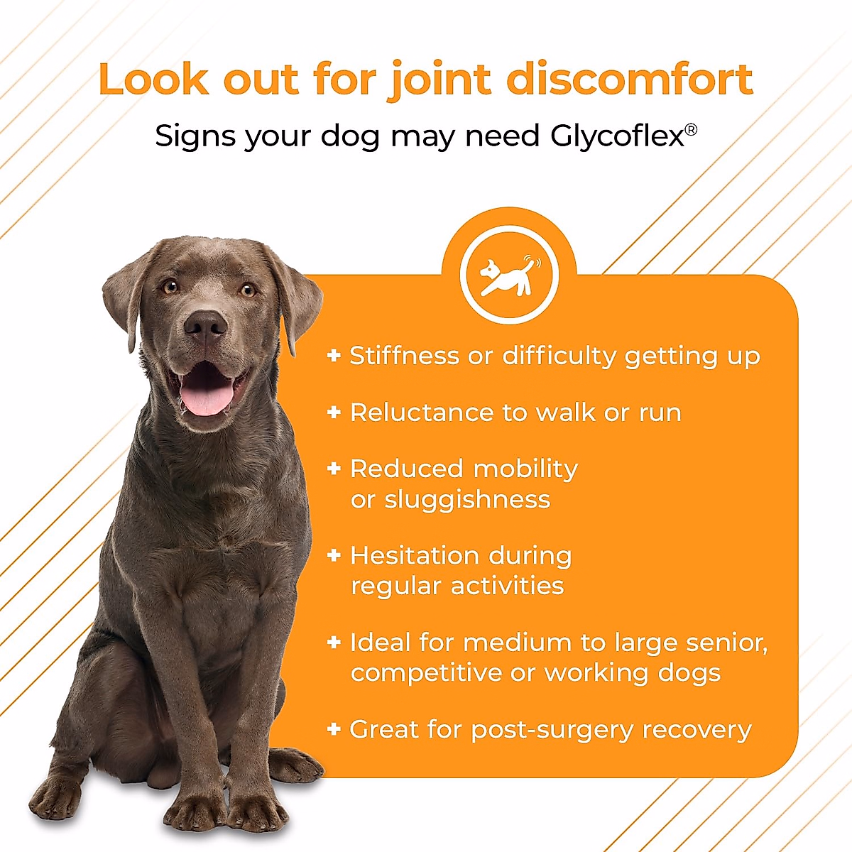 VETRISCIENCE GlycoFlex Plus Hip and Joint Supplement for Dogs, Chewable Tablet â€“ Extra-Strength Joint Support with Green Lipped Mussel, Chondroitin, and Glucosamine for Dogs