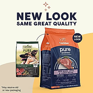 Canidae Pure Real Bison, Lentil & Carrot Recipe Adult Dry Dog 21 LB