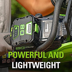 Greenworks Pro 80V (180 MPH / 610 CFM) Cordless Backpack Leaf Blower, 2.5Ah Battery and Charger Included BPB80L2510 & PRO 80V 2.5Ah Lithium-Ion Battery (Genuine Greenworks Battery)