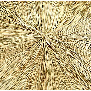 Forever Bamboo Mexican Palm Thatch Umbrealla Cover, 12ft D