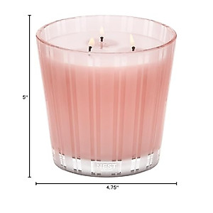 NEST New York Himalayan Salt & Rosewater Scented 3-Wick Candle