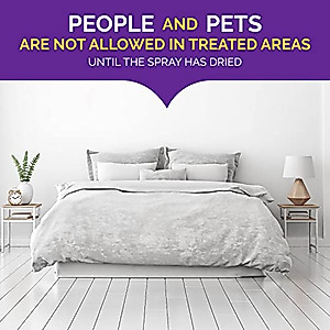 Hot Shot Ready-to-Use Bed Bug Killer Spray, Kills Bed Bugs and Bed Bug Eggs, Kills Fleas and Dust Mites, 32 Ounce (Pack of 2)