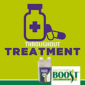 Backyard Boost Defense for Poultry, Multivitamin for Chickens, Restores Digestive Health for Hens, Poultry Hydration - 8oz