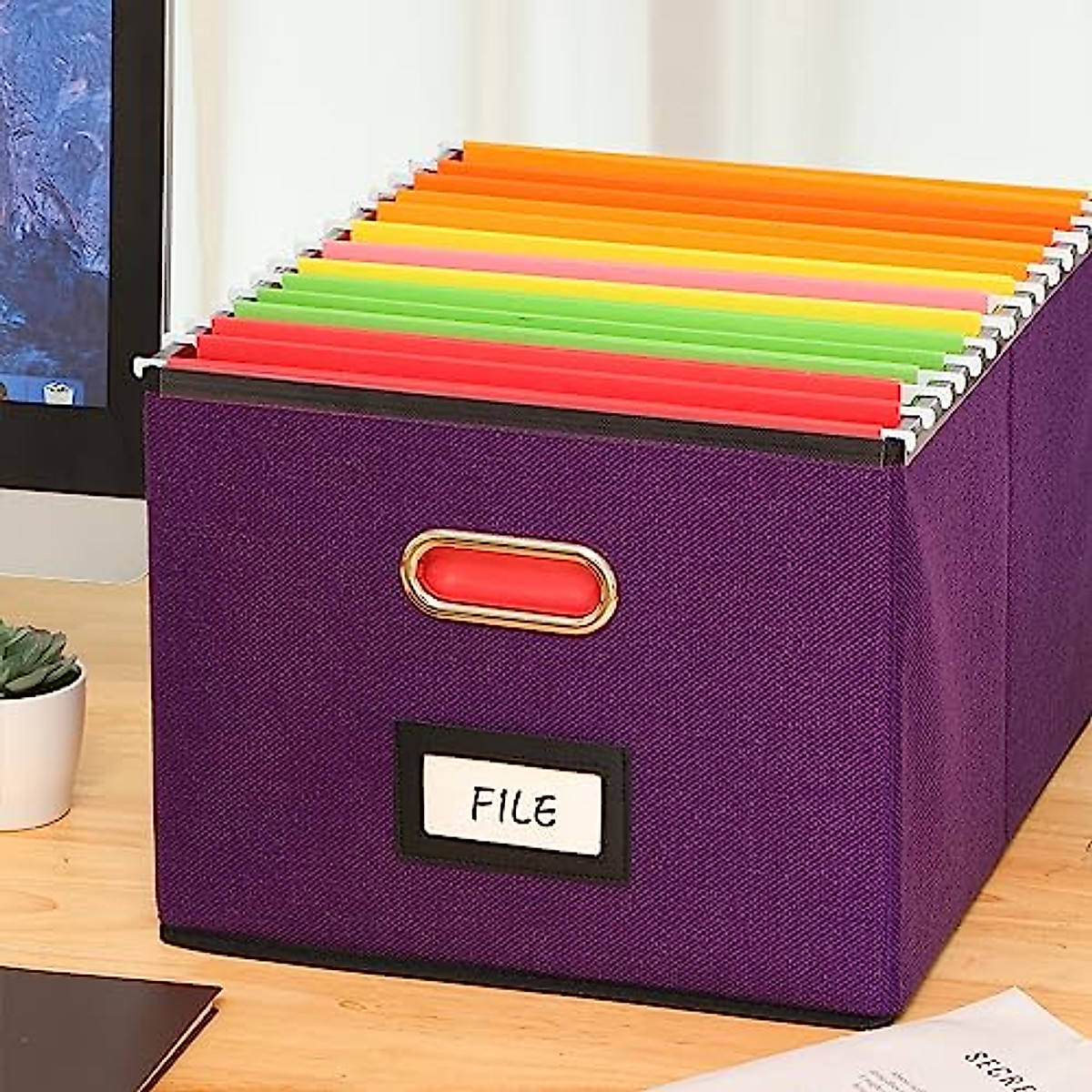 EOOUT File Folder Organizer - 1 Pack, Hanging File Storage Box with Handles