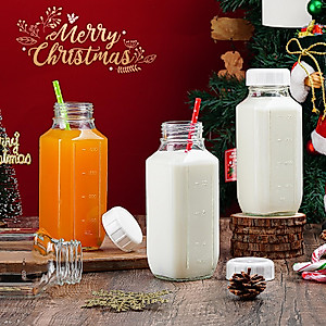 6 Pack 16 Oz Glass Juice Bottles w Pour Spout, 100% Airtight Heavy Duty SCREW Lid- Reusable Glass Milk Bottles w Capacity Mark, Square Drinking Jar Juice Container(Extra 2 Lid)